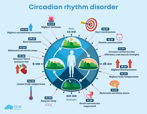 Circadian Rhythm Disorder: Causes, Symptoms, and Treatment