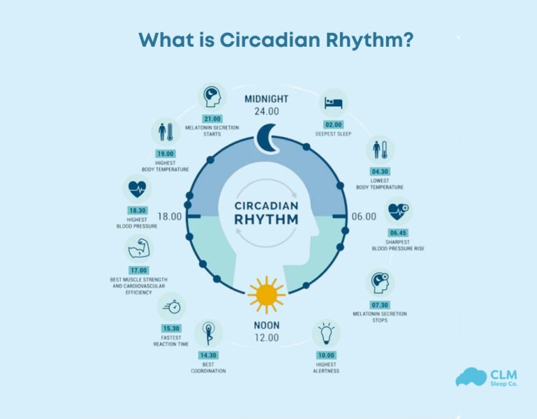 Everything To Know About Circadian Rhythm And Sleep