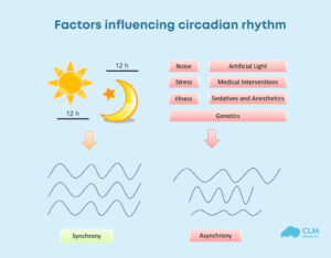 Everything To Know About Circadian Rhythm And Sleep