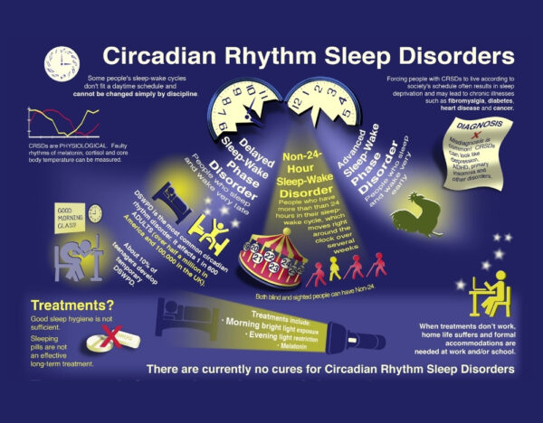 Everything To Know About Circadian Rhythm And Sleep