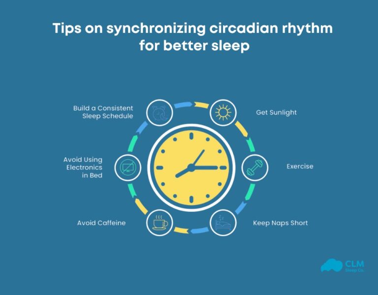 Everything To Know About Circadian Rhythm And Sleep