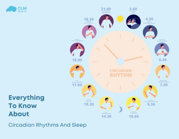 Everything To Know About Circadian Rhythm And Sleep