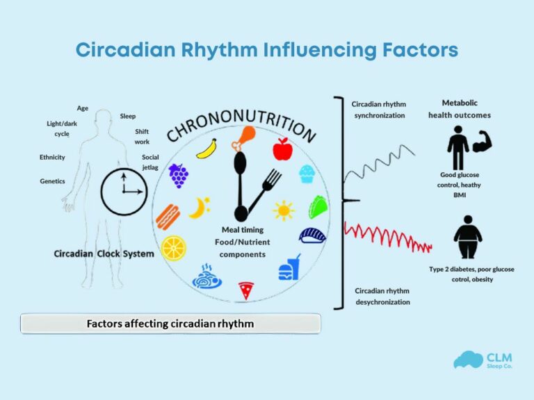 What Is Circadian Rhythm? How It Works and Factors That Affect It
