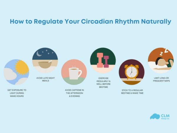 What Is Circadian Rhythm? How It Works and Factors That Affect It