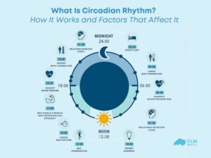 What Is Circadian Rhythm? How It Works and Factors That Affect It