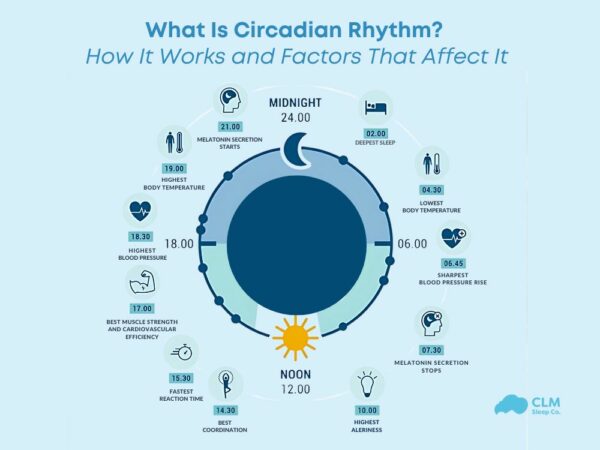 What Is Circadian Rhythm? How It Works and Factors That Affect It