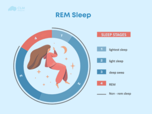 REM Sleep – CLM Sleep Co.
