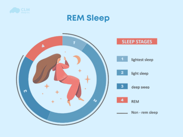 What is REM Sleep? Benefits, Stages, and Health Importance