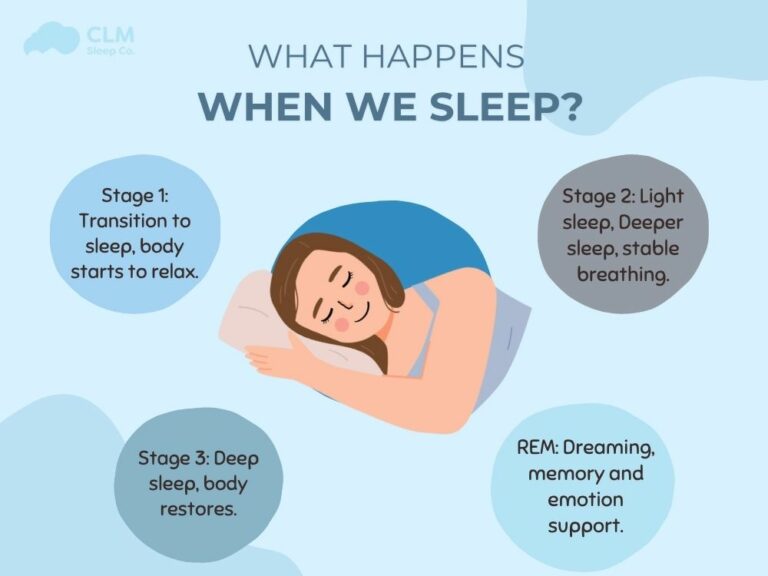 Why Do We Need Sleep? Understanding the Importance of Sleep