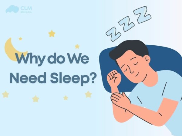 Why Do We Need Sleep? Understanding the Importance of Sleep