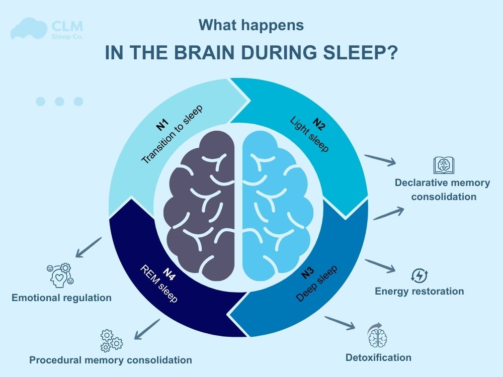 Is 5 Hours Sleep Enough Health Effects Recommendations Is 5 Hours Sleep Enough Health Effects Recommendations